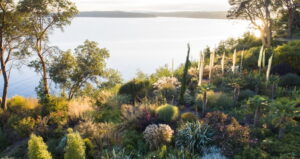 Home - Outlandish Ventures